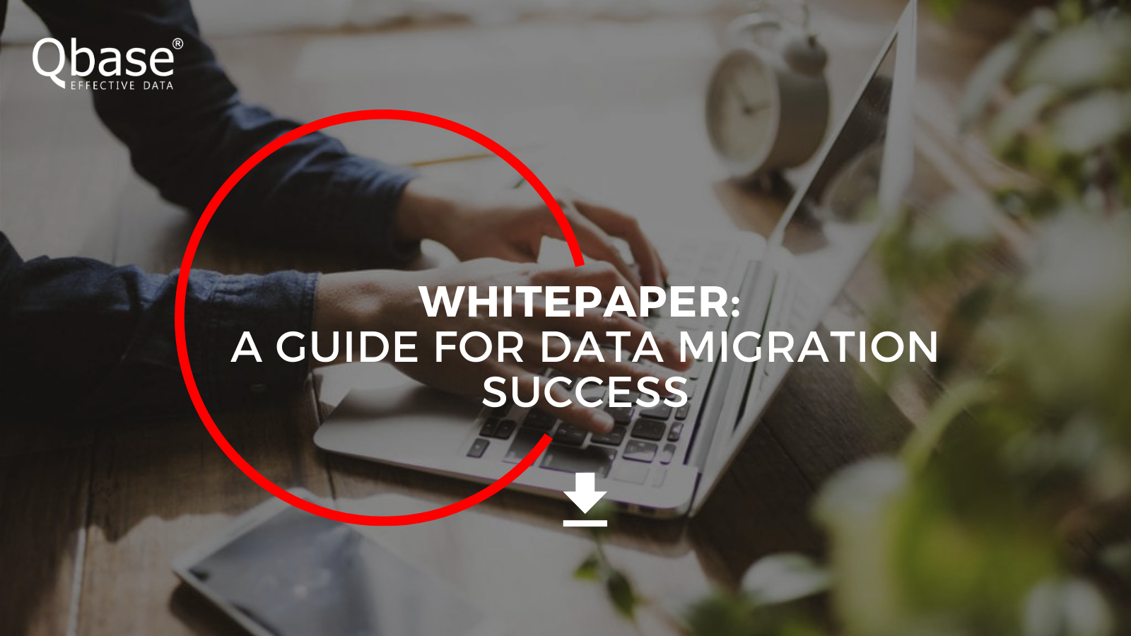 A Guide to Data Migration Success | Whitepaper | Euler