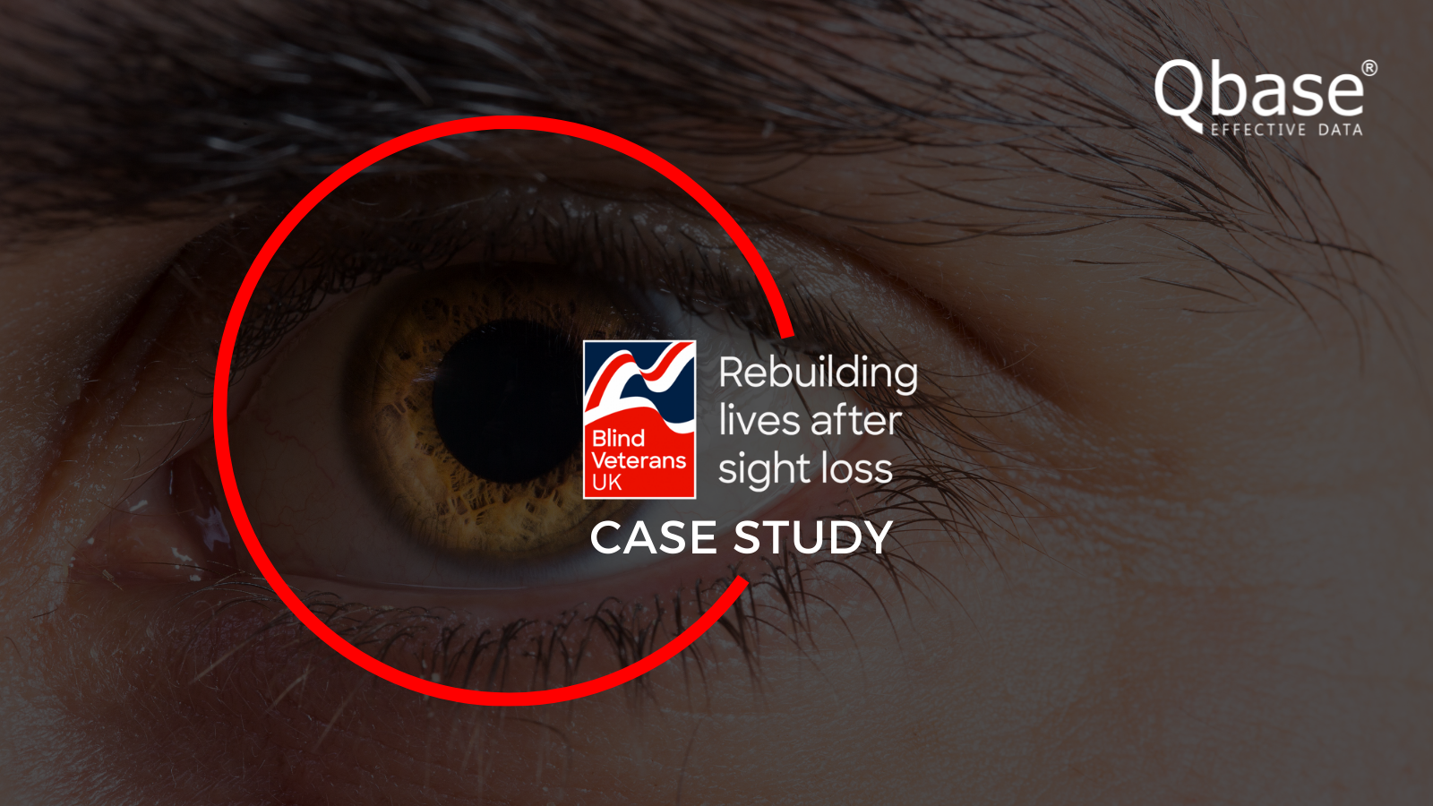 A Data Landscape Analysis for Blind Veterans UK | Euler